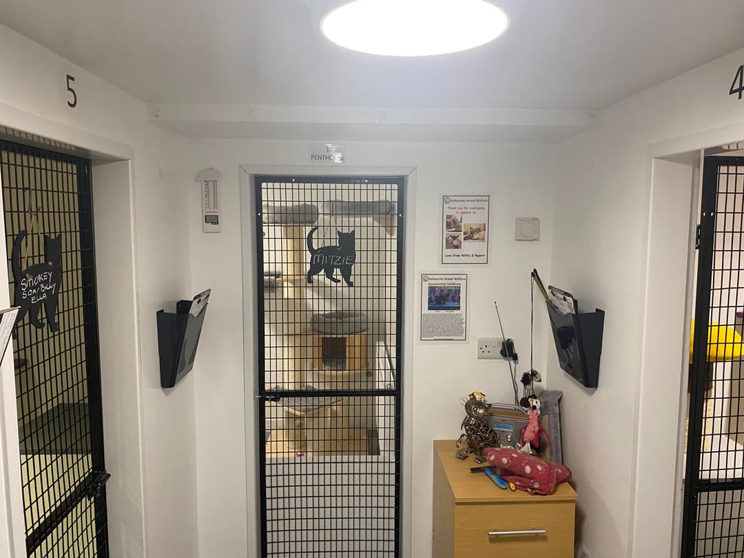 Suites | Apple Tree Cattery | Apple Tree Cattery
